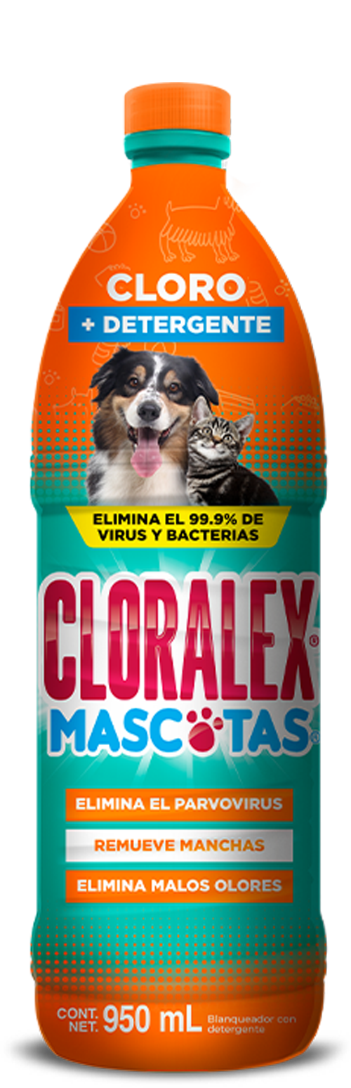 Cloralex para la limpieza del hogar | Cloralex